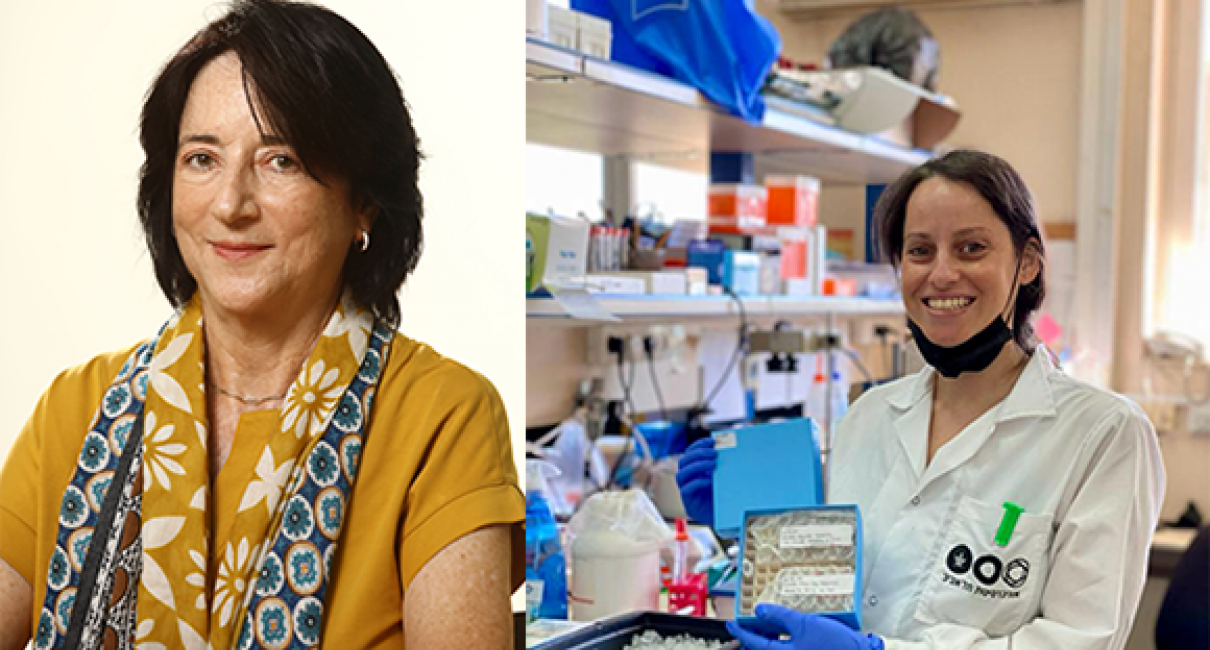 When the Cell's Production Manager Goes Off Its Rails | Marine ...